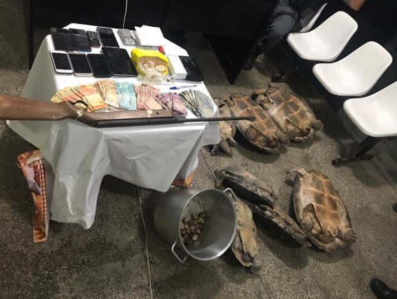 PMs do 5° BPM apreendem drogas quelônios no município de Codajás - SSP